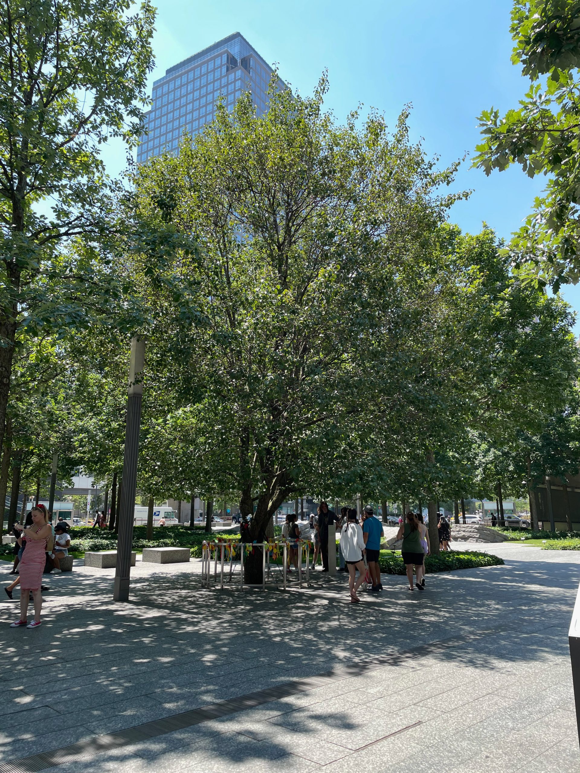 9/11 Memorial & Museum - NYC - Love to Eat and Travel
